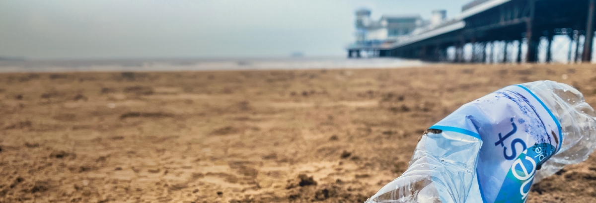 Big Beach Clean-Up Taking Place in Weston-super-Mare This Friday! - The ...