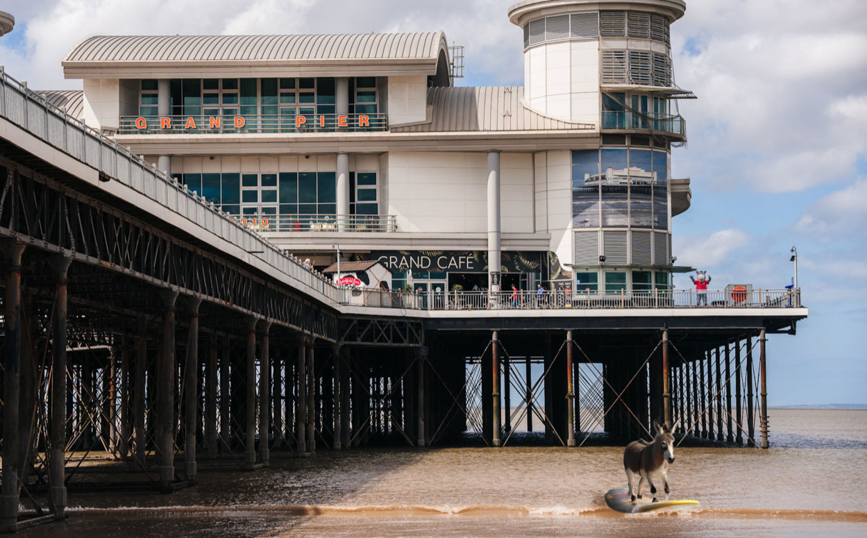 HAPPY APRIL FOOLS DAY! - MOVE OVER DONKEY RIDES ON THE BEACH: New ...